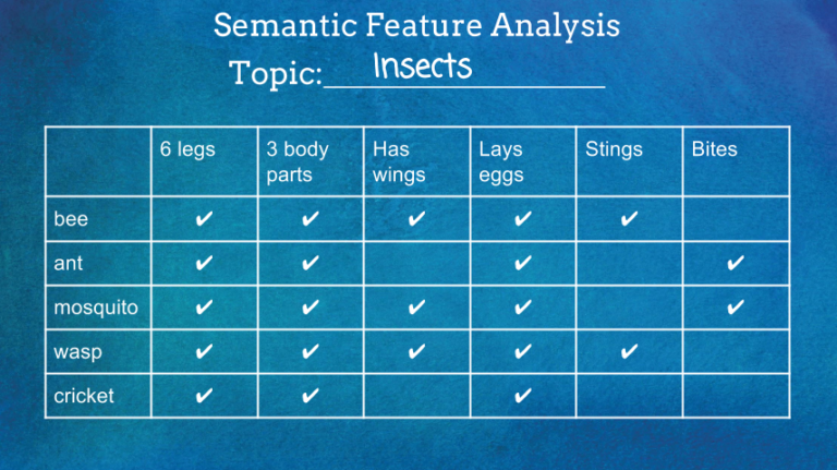 Semantic Feature Analysis – OG Support
