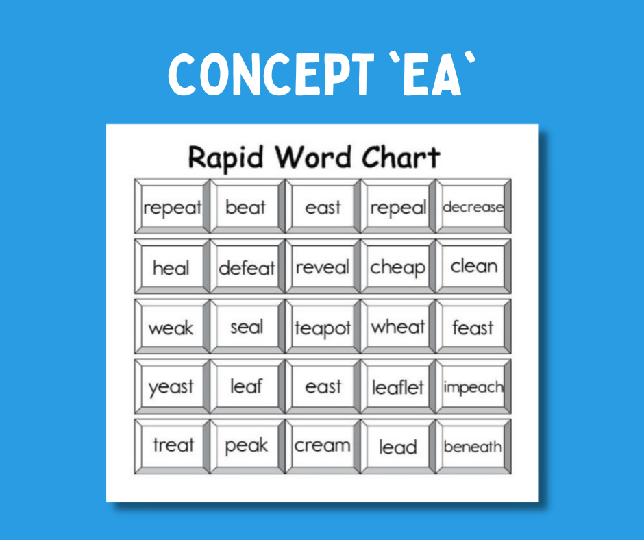 Rapid Word Chart – OG Support
